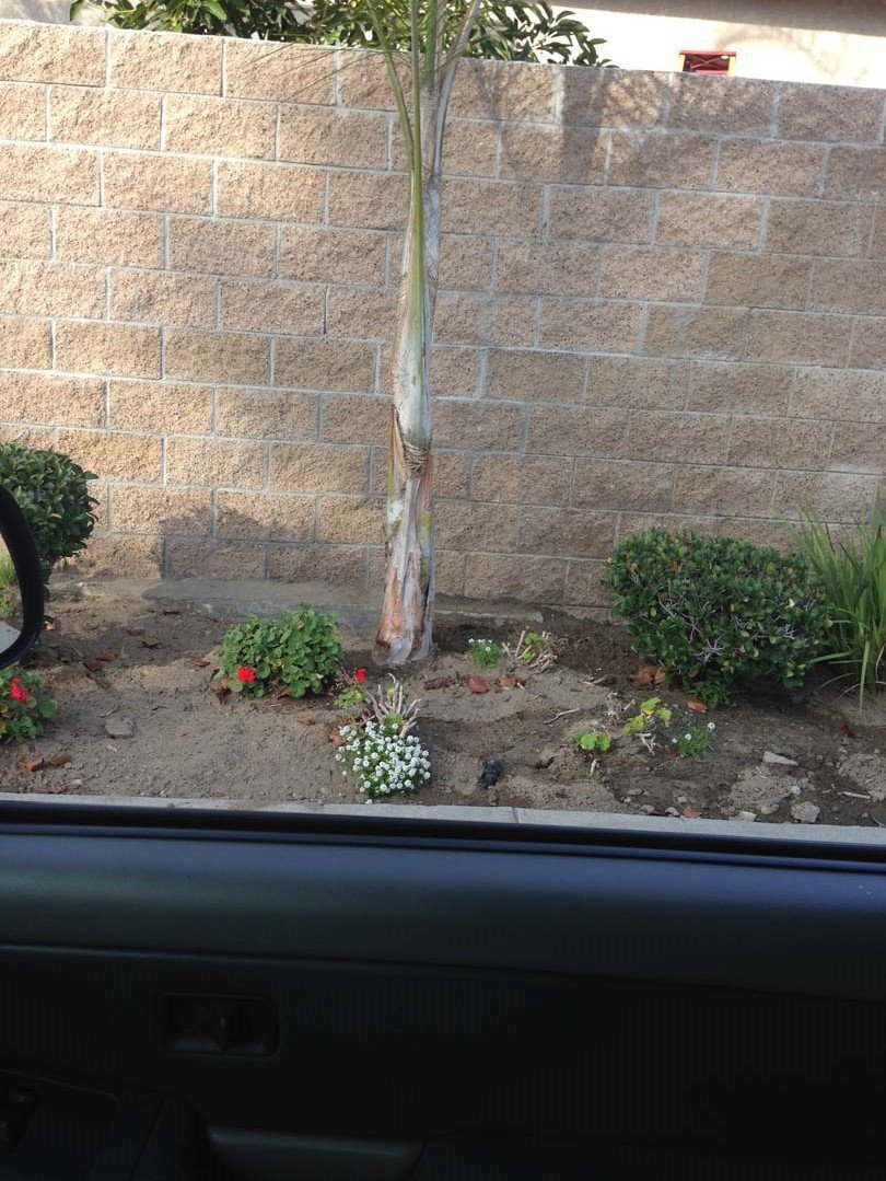 cmu-block-walls-contractor-masonry-concrete-stone-block-pavers ...